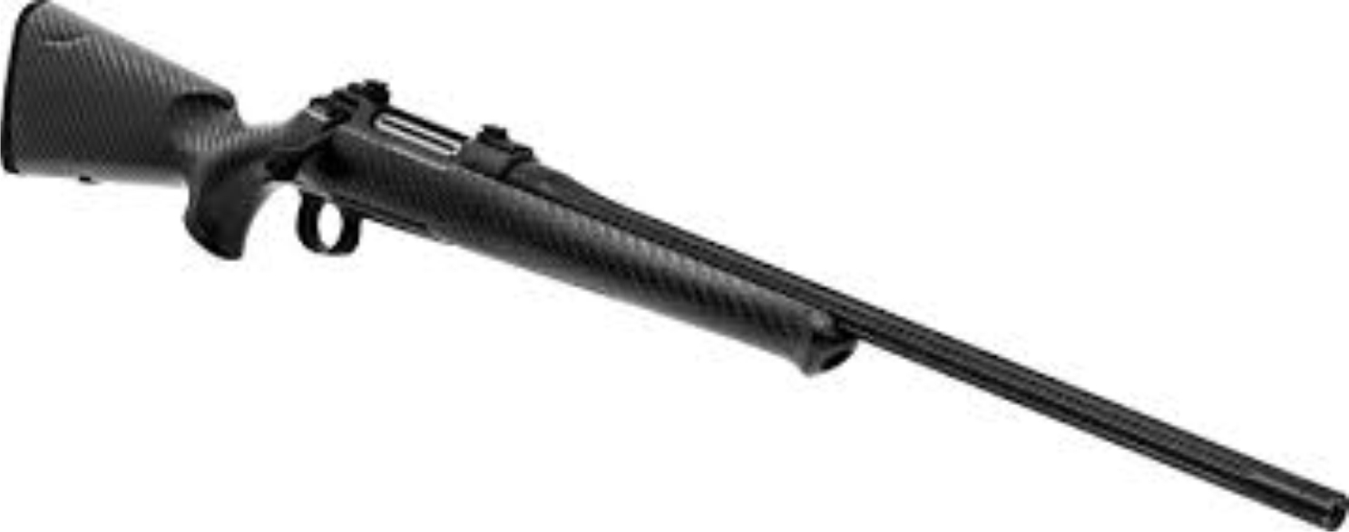 Rifle Cal. .308WIN SAUER 101 HIGHLAND XTC – Mundo Nautico